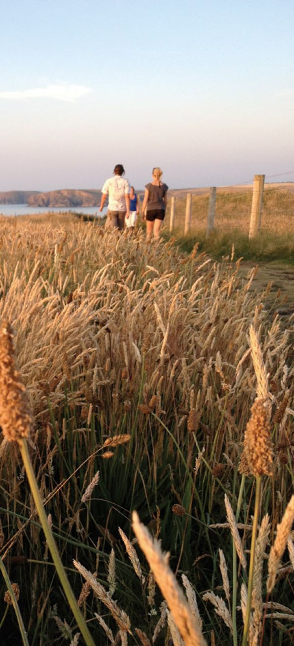 Walking in Kingsbridge and South Devon