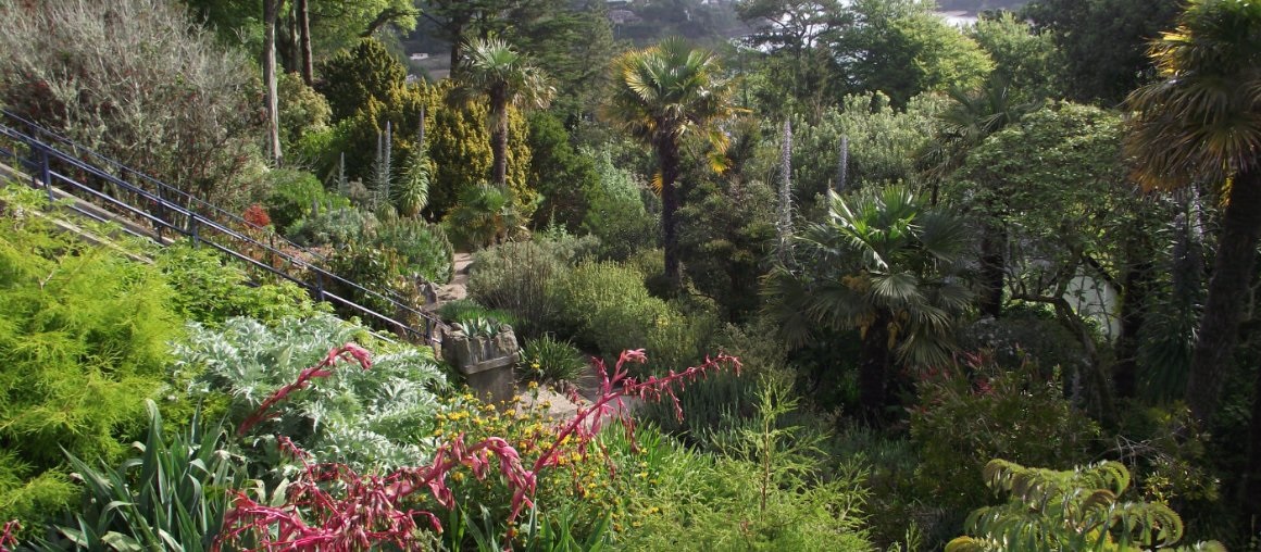 Gardens of South Devon